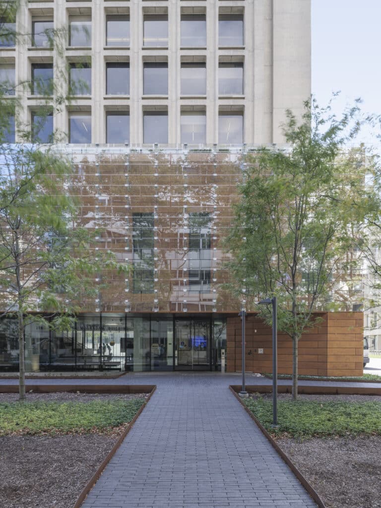 Bois naturel au Massachusetts Institute of Technology MITMassachusetts ...